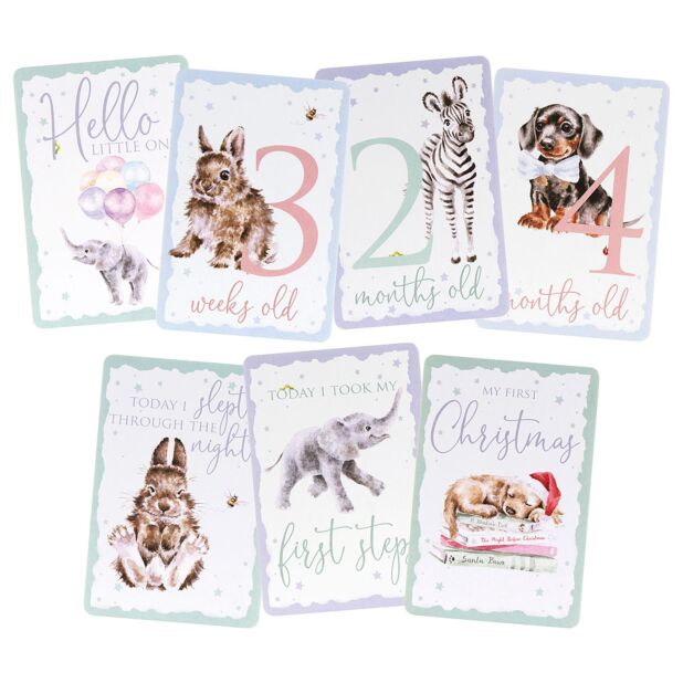 Wrendale Milestone Cards – The Butterfly and Bee Gift and Homeware